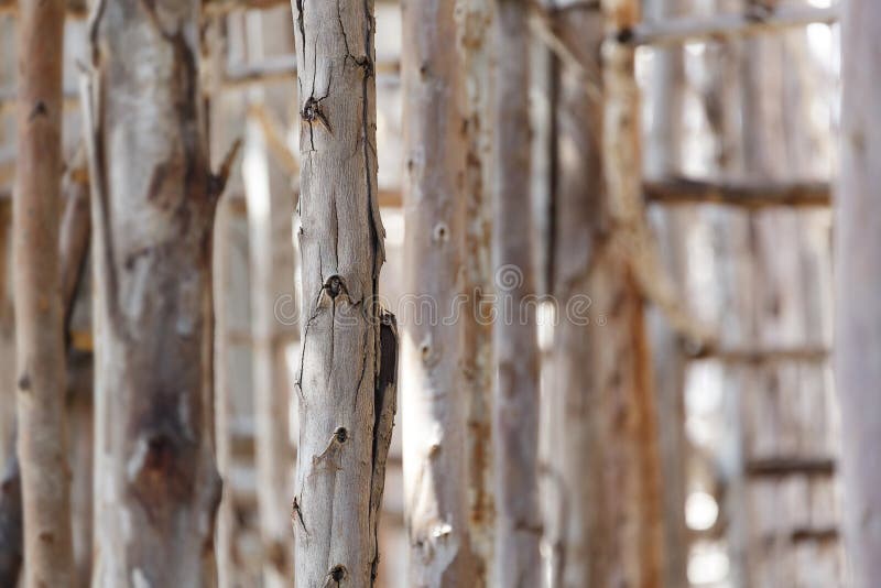 119 Wood Scaffolding Line Stock Photos - Free & Royalty-Free Stock ...