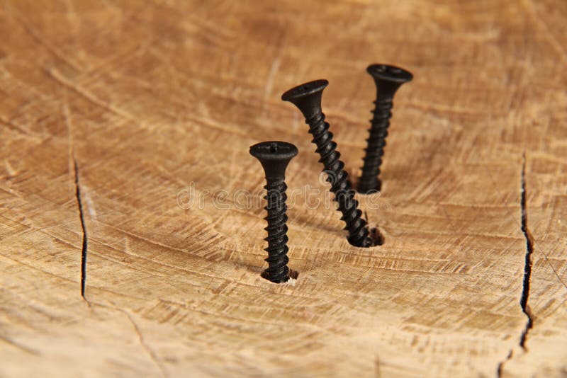 Wood screws stock image. Image of screws, slit, cross - 23370677