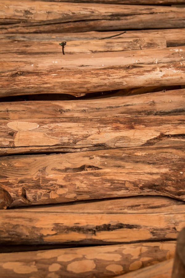 507 Seamless Wood Logs Photos - Free & Royalty-Free Stock Photos from ...