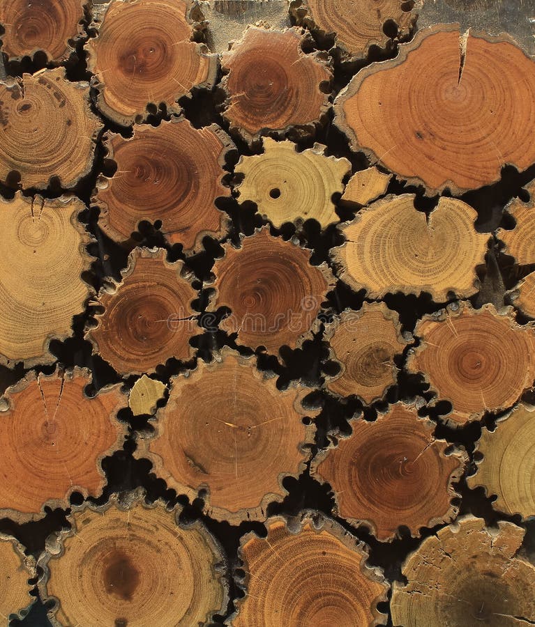 Wood Section stock image. Image of organic, industry - 27636839