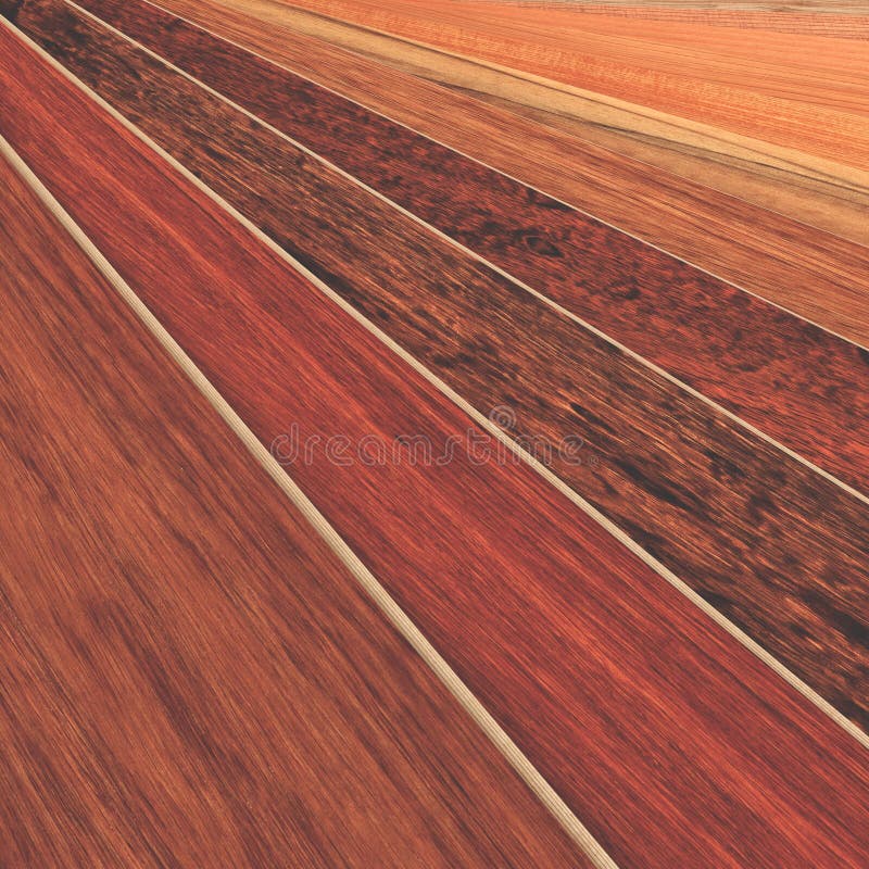 Wood selection stock photo. Image of pine, construction - 147819224