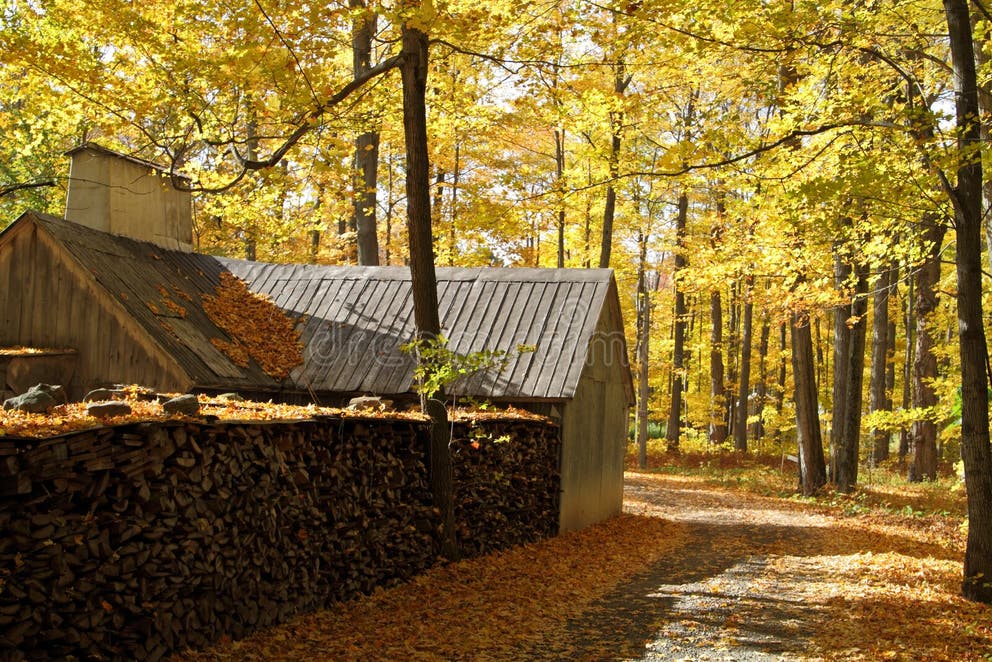 Wood shack stock image. Image of colors, tranquil, chalet - 11408967