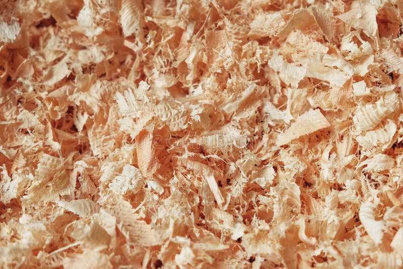 Wood Shavings As Background Texture. Copy, Empty Space for Text Stock ...