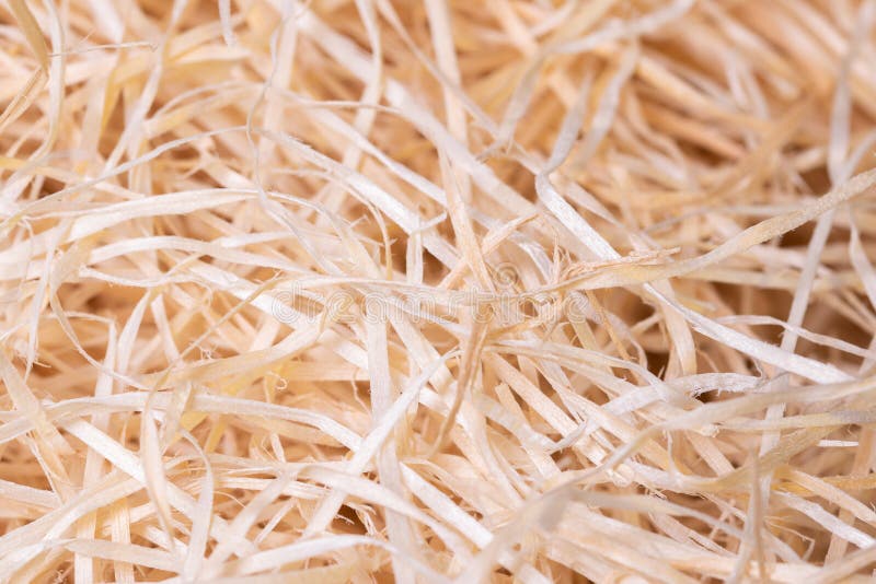 Wood Shavings Background . Concept of Environmentally Friendly ...