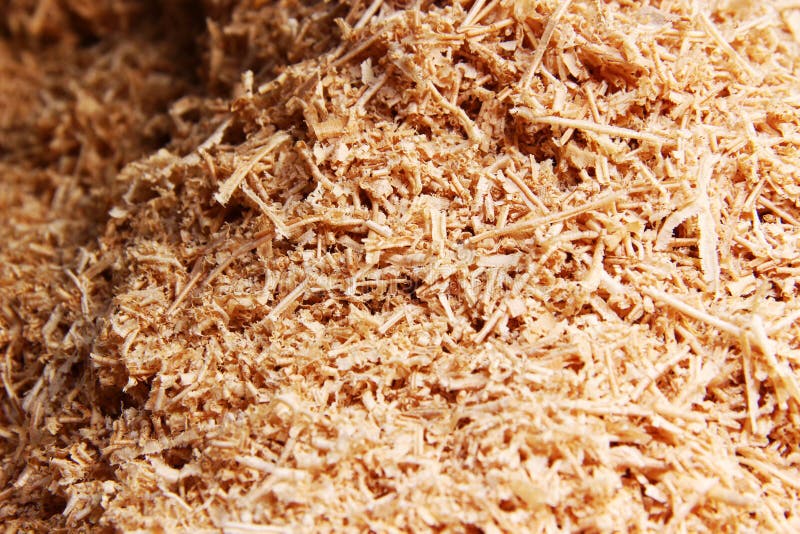 Wood shavings stock photo. Image of hand, people, master - 88786714