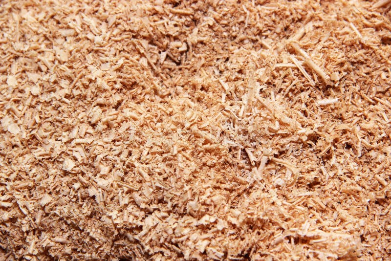 Wood shavings stock image. Image of construction, curled - 88786745