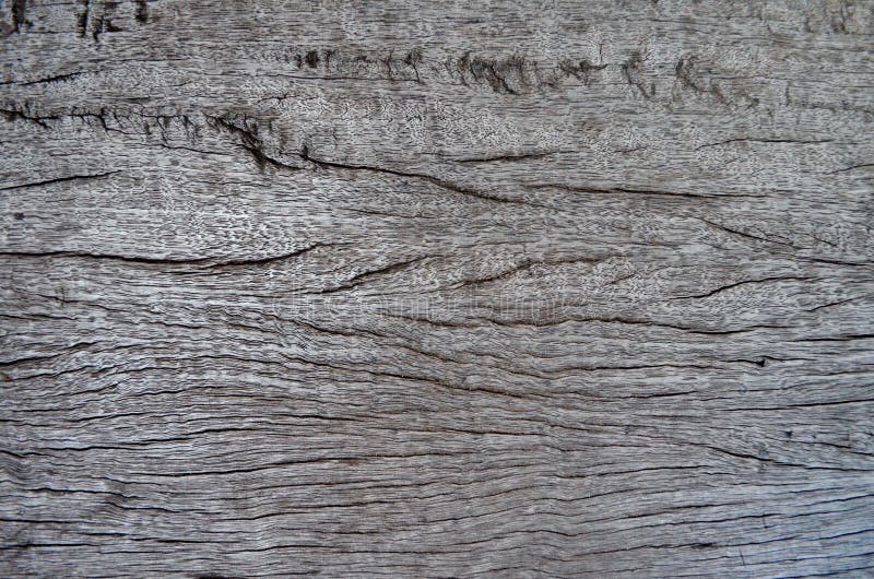 Wood sheet background. stock photo. Image of wood, sheet - 80129824