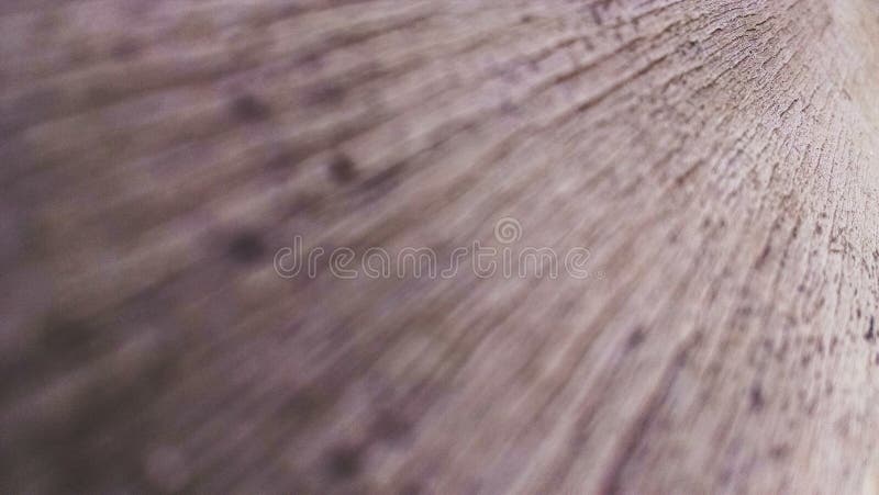 Wood sheet stock image. Image of wood, sheet, depth, perspective - 88522947