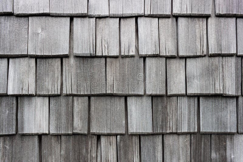 1,498 Wall Larch Stock Photos - Free & Royalty-Free Stock Photos from ...