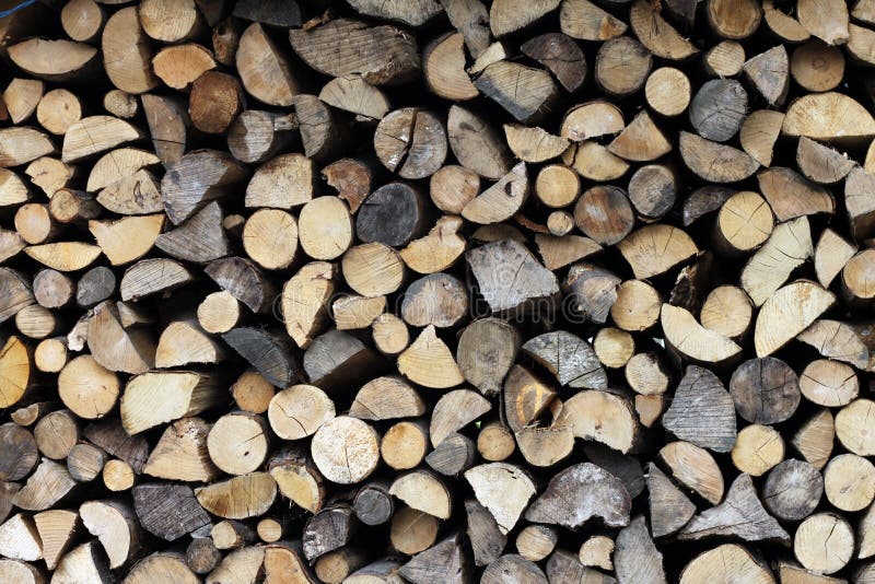 Wood shock in the forest stock photo. Image of firewood - 46525582
