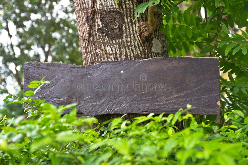 Wood sign board stock photo. Image of nature, decoration - 34116208