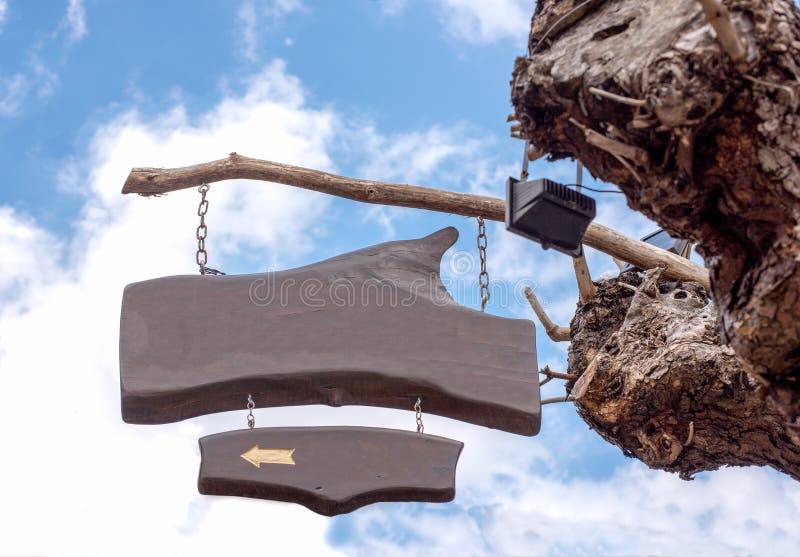 Wood Sign on Tree in the Blue Sky and Clouds Background. Stock Photo ...