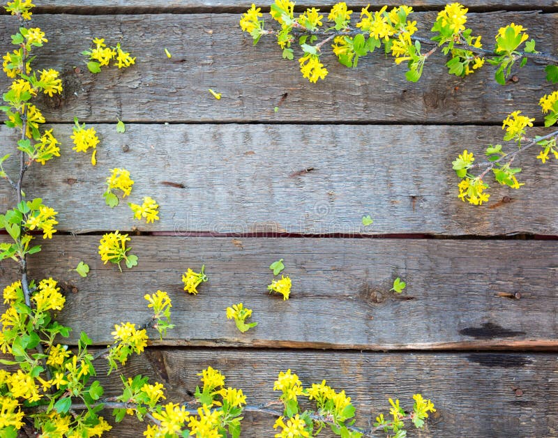Wood Sign with Yellow Flowers Background Stock Photo - Image of color ...