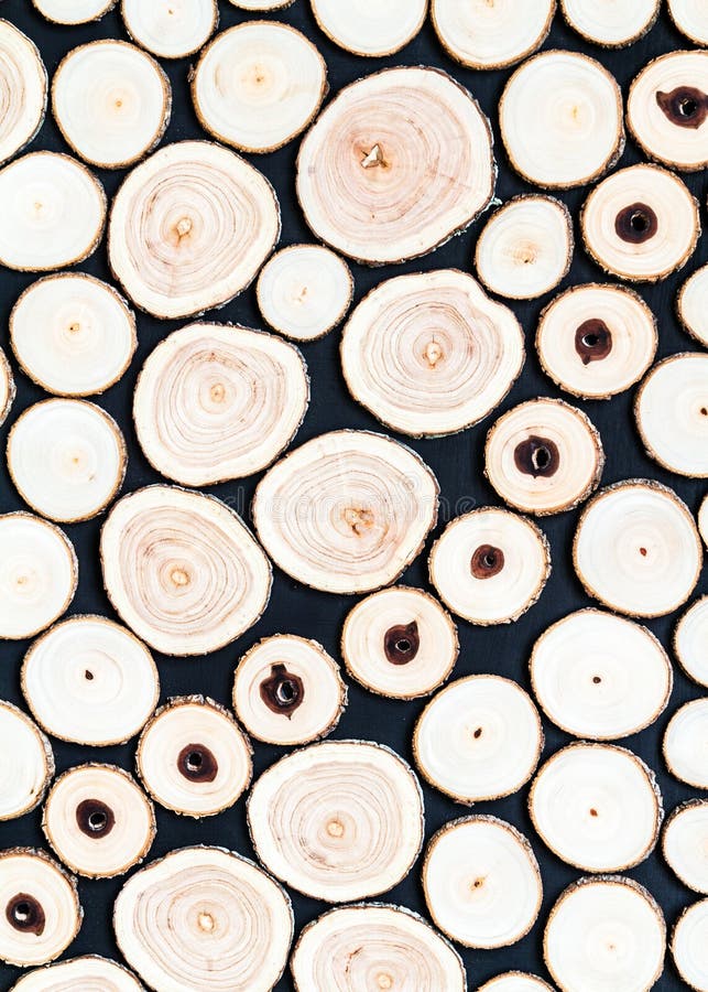 Wood Slice Display stock image. Image of slice, wood - 42821443