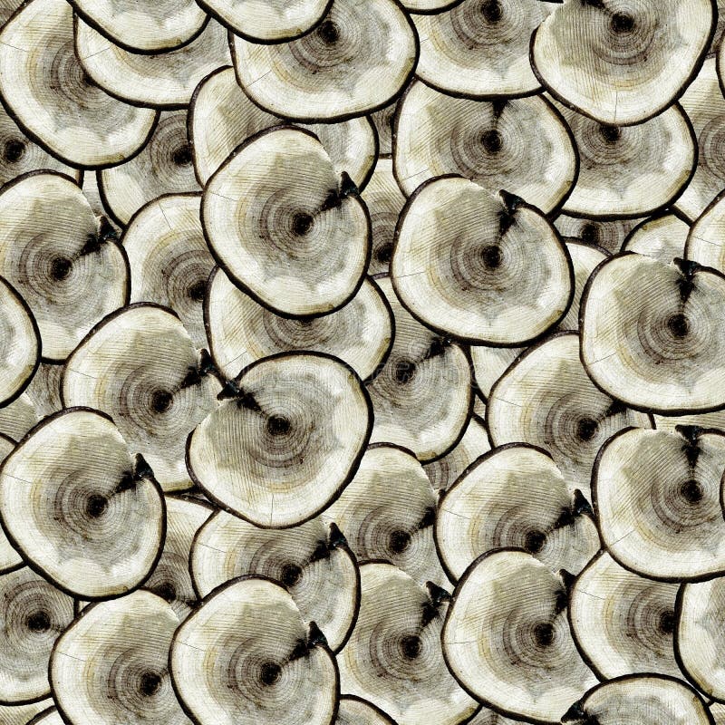 Wood Slice Texture Tree Circle Cut Seamless Pattern Stock Illustration ...