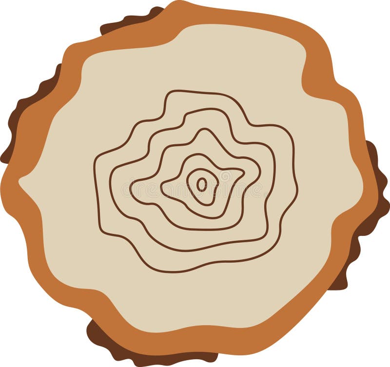 Wood Slice with Tree Rings stock vector. Illustration of round - 330639473