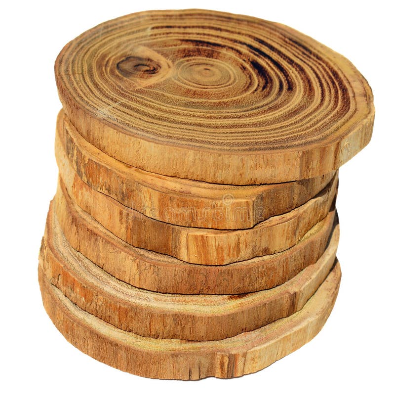Wood slices stock photo. Image of closeup, environment - 29744346