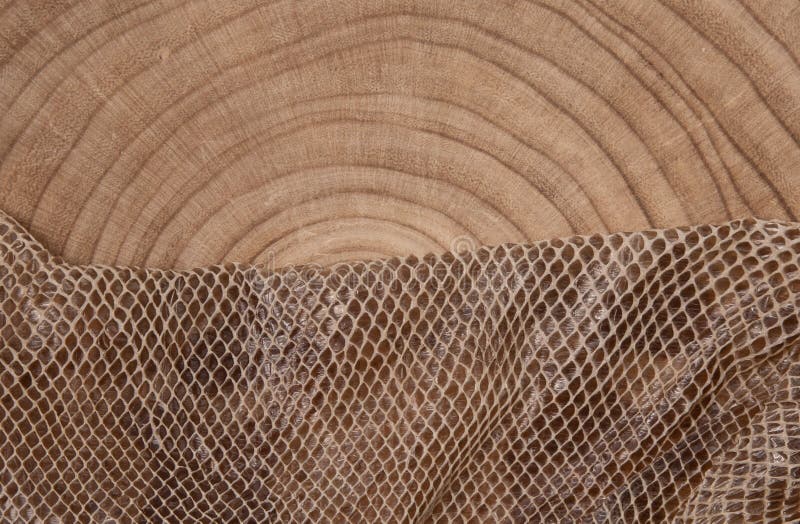 Wood Snake Snin Background Texture Stock Image - Image of stone ...