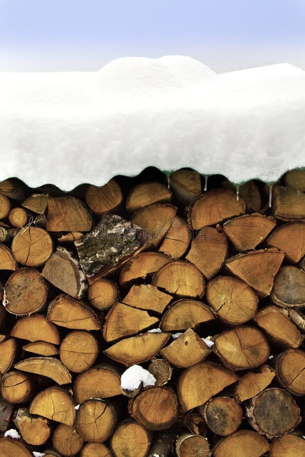 Snow-covered pine forest stock photo. Image of mountain - 16107606