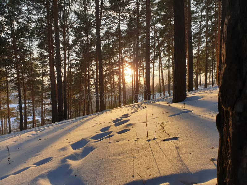 Wood snow sun sky holiday stock image. Image of winter - 179845017