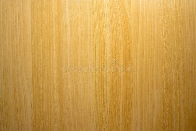 Wood Soft Pine Texture stock photo. Image of grain, wood - 41772616