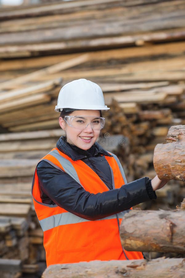 Young spruce sapling stock photo. Image of closeup, coniferous - 29639660