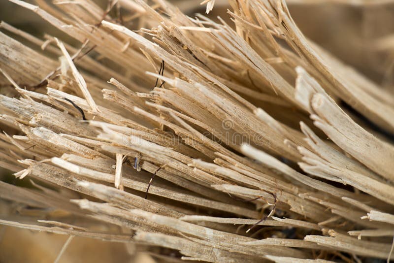 Wood splinters background stock photo. Image of incomplete - 44257954