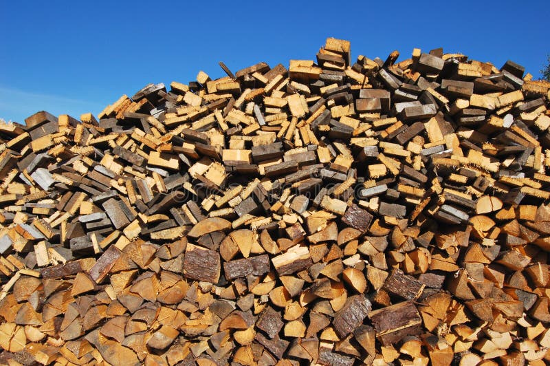 Wood Fuel For Power And Energy In Summer Forest Stock Image - Image of ...