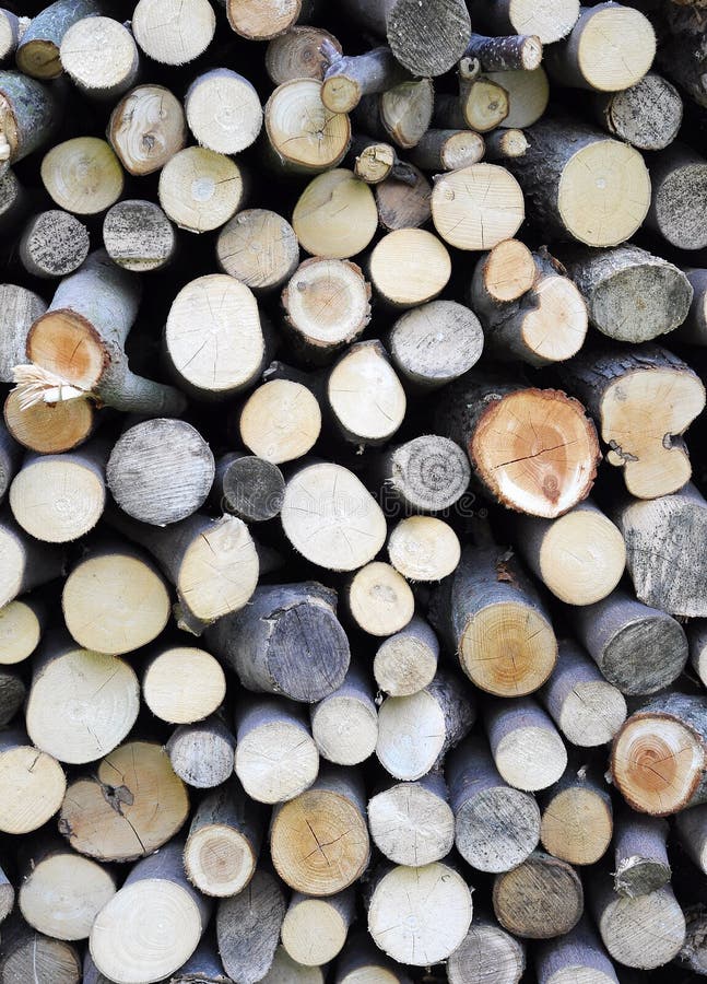 Wood stack stock photo. Image of outdoor, pile, woodpile - 19847178