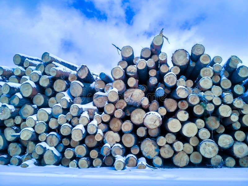 Wood Stack Background of Classic Blue Color of the Year 2020 Stock ...