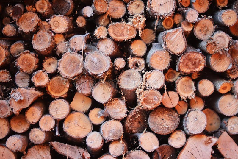 Wood in the Stack Background Stock Photo - Image of circle, tree: 173969092