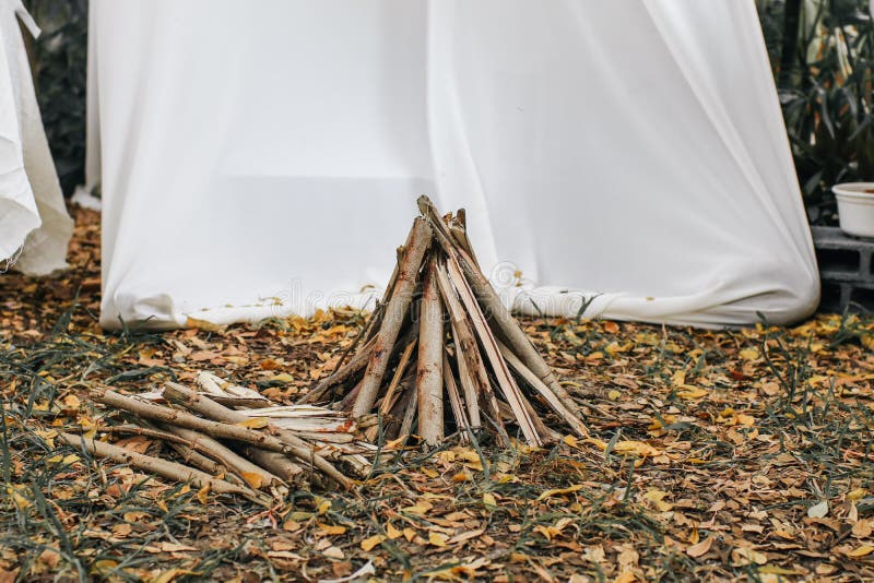 Stack of Campfire Wood. Wood Texture Stock Image - Image of tree ...