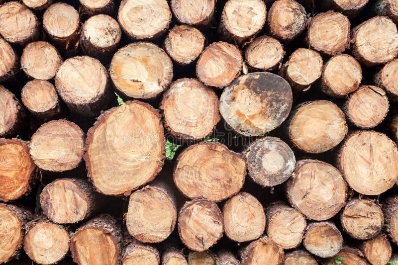 Wood Stack Close Up Background Stock Image - Image of closeup, wooden ...