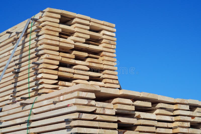 Lumber Yard Business Timber Stacked Forest Industry Environment ...
