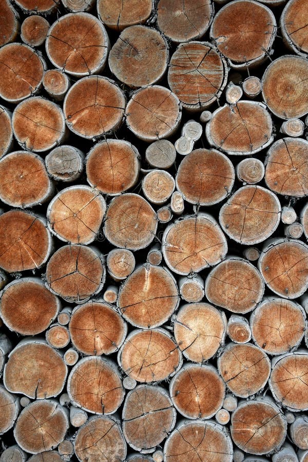 Wood Stacked after Lumbering Show the Texture. Stock Image - Image of ...