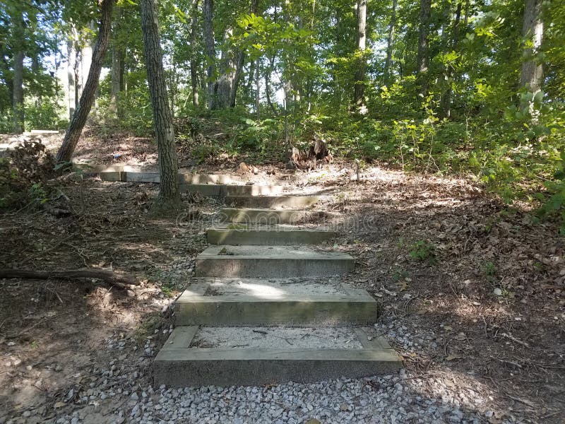 Wood Steps in the Forest with Rocks Stock Photo - Image of nature, path ...