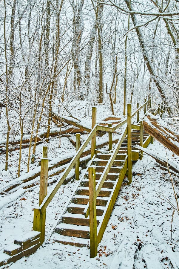 Wood Steps Leading Up Hillside in Winter with Trees Covered in Snow ...