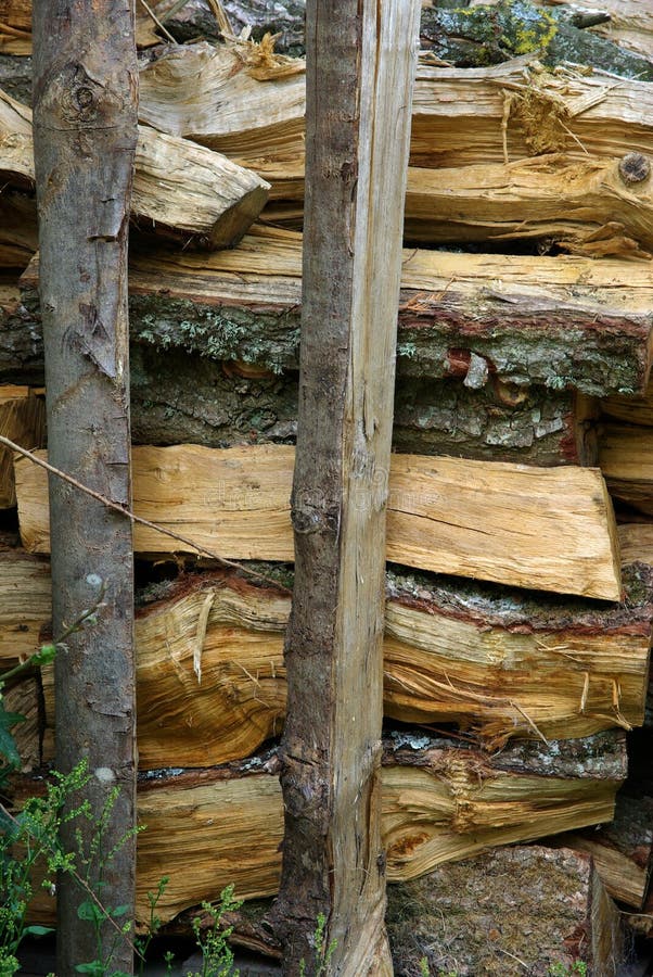 Wood Stockpile Free Stock Photos & Pictures, Wood Stockpile Royalty ...