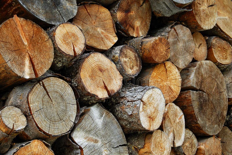 Wood Stock stock image. Image of mountain, colors, wood - 6597211