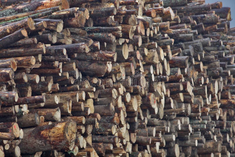 Wood stock pile stock photo. Image of holtz, lumber, pile - 77420546