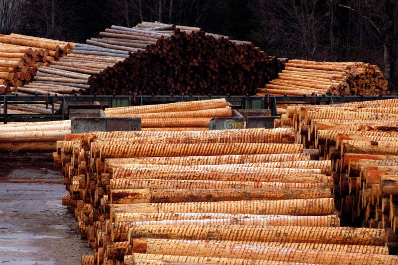 Wood Storage in the Industry Stock Photo - Image of economy ...