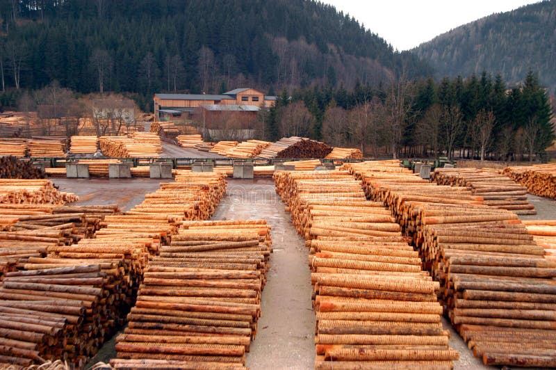 Wood Storage in the Industry Stock Photo - Image of forest, possession ...