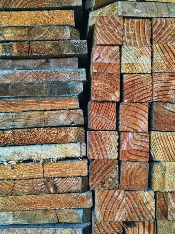 Wood store stock photo. Image of stick, wood, carpenter - 261650100