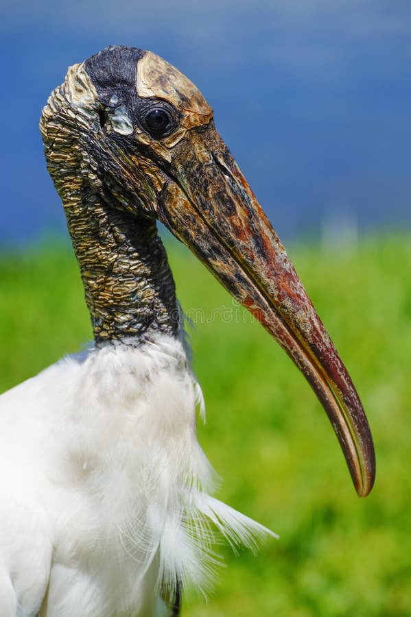 Kristin Chiasson (Bigchiasson) - Photographer profile