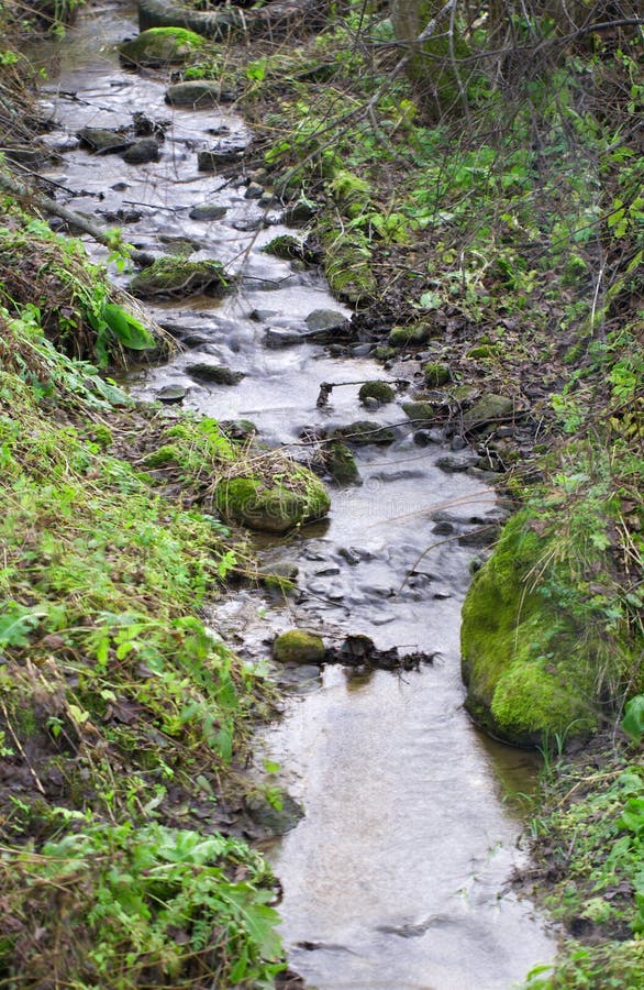 Wood stream stock image. Image of scenics, green, cold - 22138723
