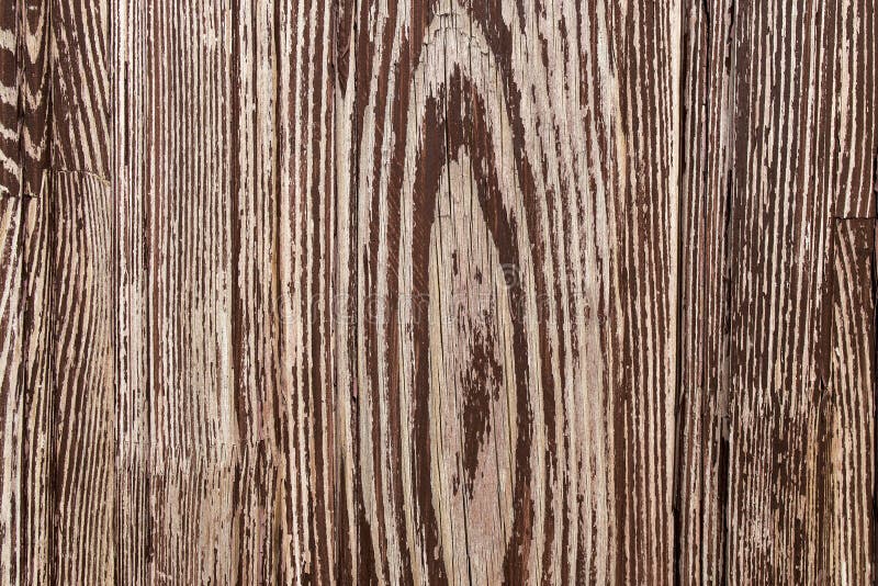 Wood Structure with Annual Rings on the Wooden Surface of the House ...