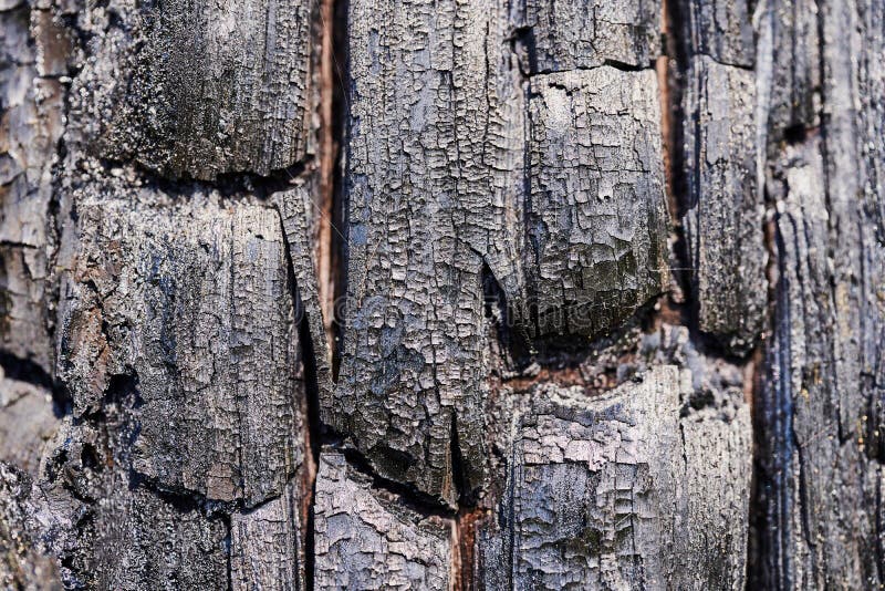 The Wood Structure is Close-up after a Fire Stock Photo - Image of ...
