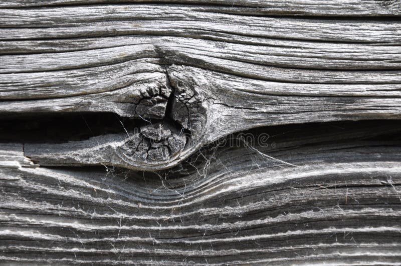 Wood structure stock image. Image of structure, pine - 32509659