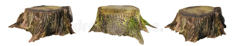 Wood Stumps Collection Isolated on White Background Stock Image - Image ...