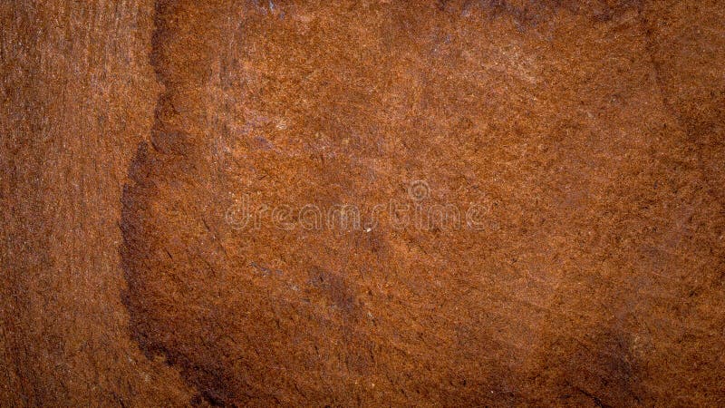 Wood surface stock image. Image of abstract, wood, hardwood - 81183731